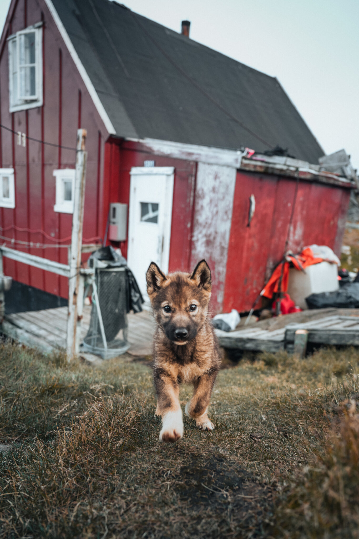 Kulusuk - Visit East Greenland