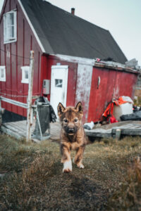Kulusuk - Visit East Greenland