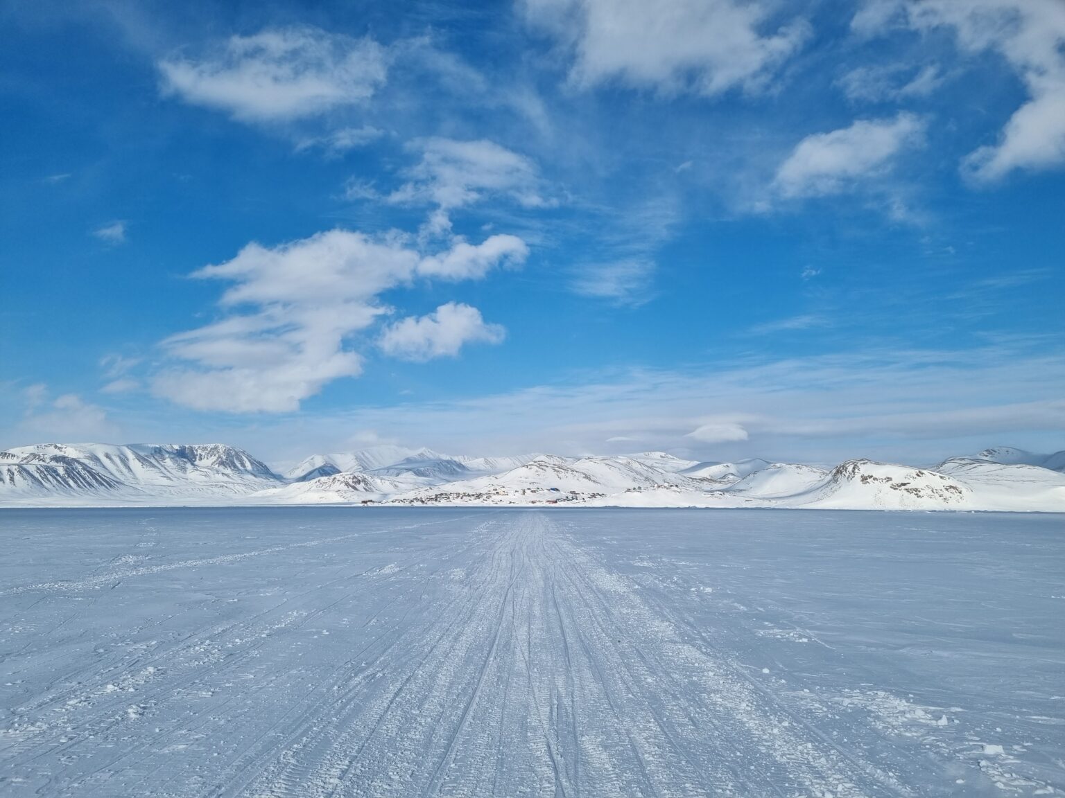Polar Bear Experience - Visit East Greenland