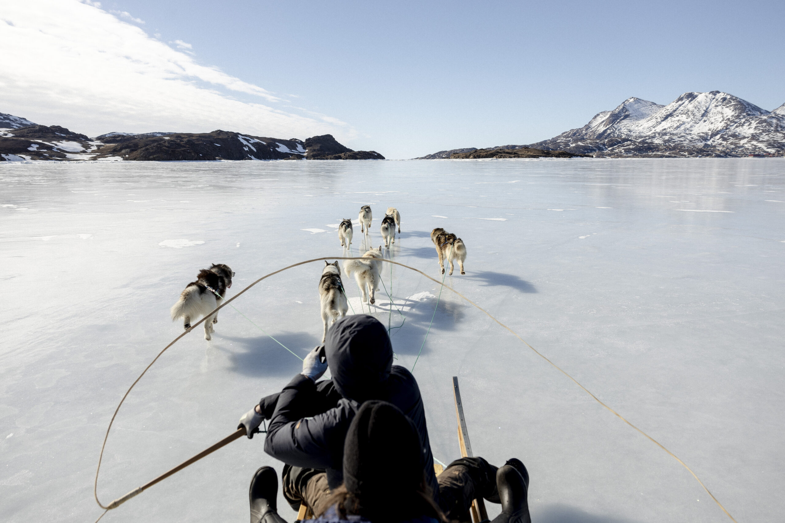 Sled Dogs in East Greenland - Visit East Greenland